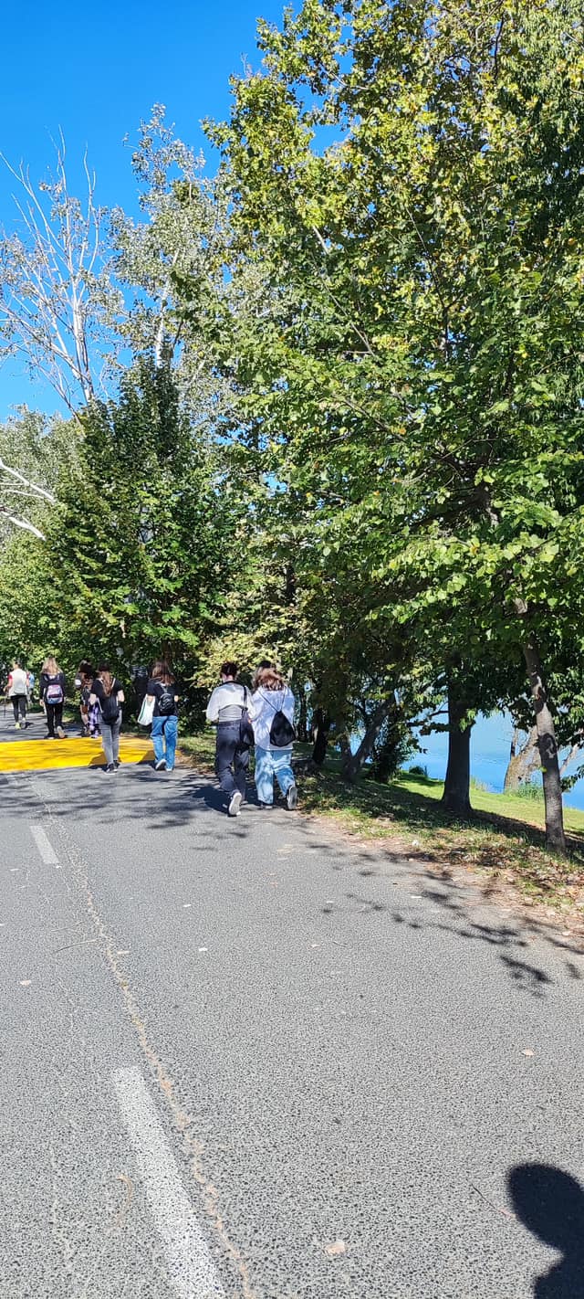 Dunaújvárosi Széchenyi István Gimnázium » Iskolánkból is gyalogoltak